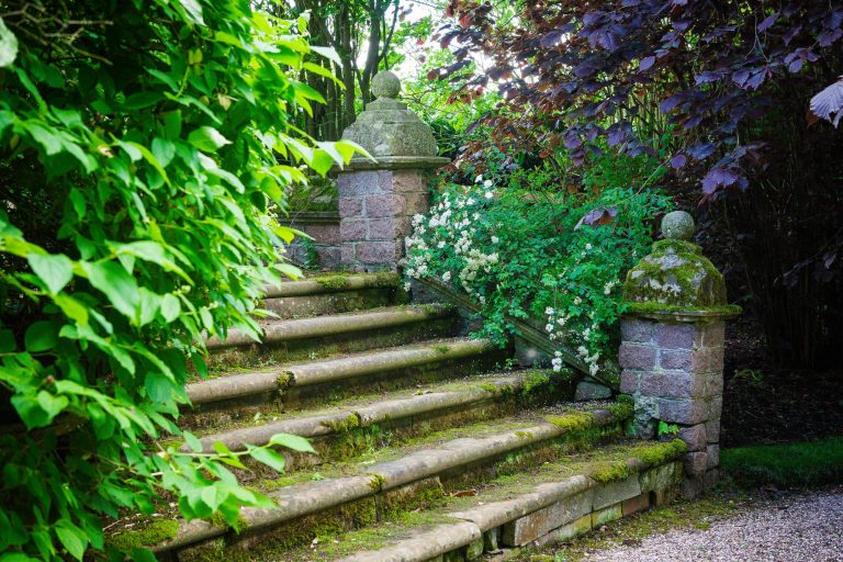 Gardens - whattonhouse.co.uk